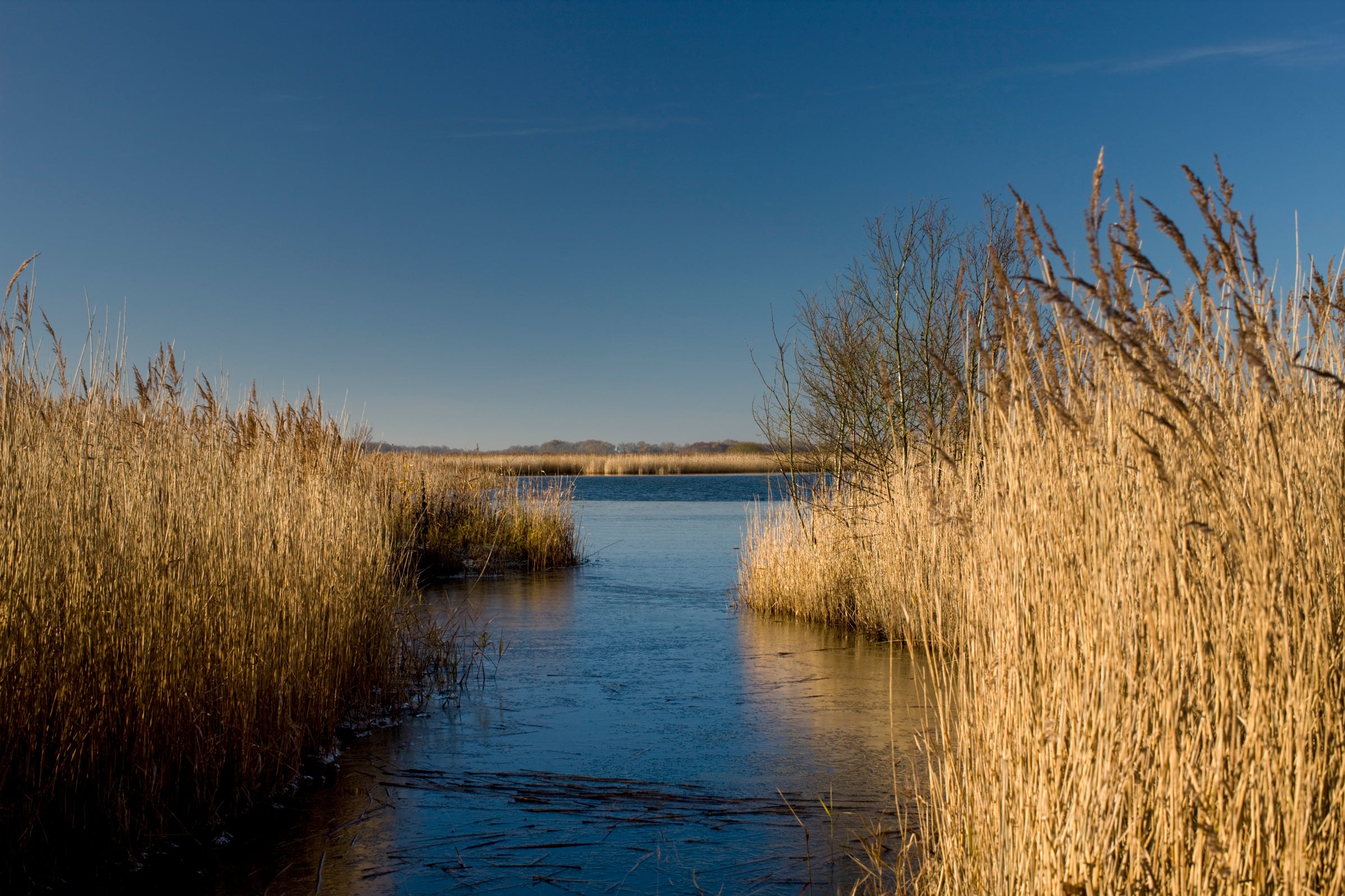 In Conversation with... Jess French – Sop – Scents of place.